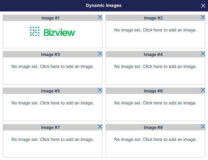 Application Branding – Bizview v24