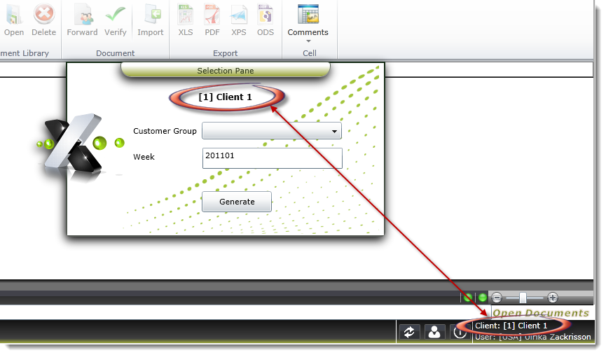 Pane $ Variables – Bizview v24