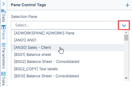 Right Panel - Pane – Bizview v24