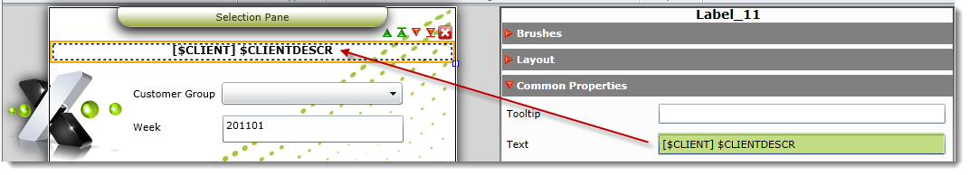 Pane $ Variables – Bizview v24