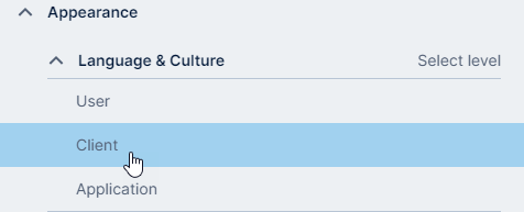 Client Appearance – Bizview v24