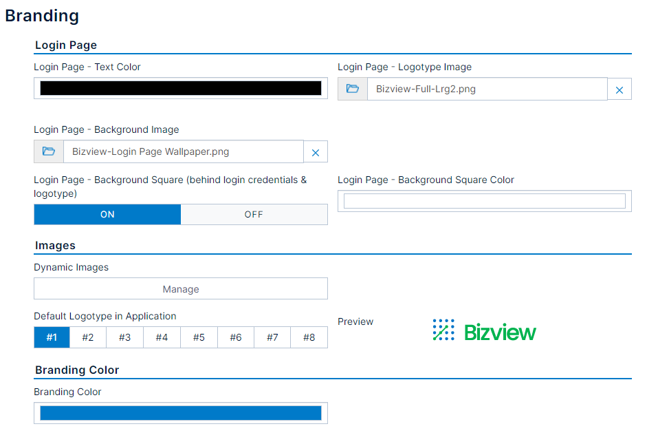 Client Branding – Bizview v24