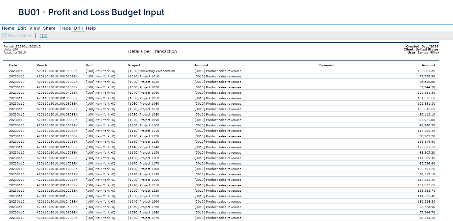 Drill Down - Forms – Bizview v24
