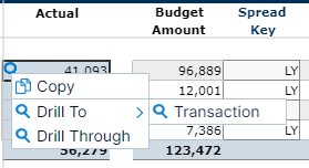 Drill Down - Forms – Bizview v24