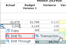Drill Down - Reports – Bizview v24