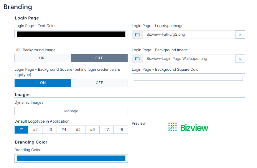 Login Page Branding – Bizview v24