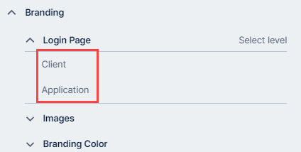 Login Page Branding – Bizview v24