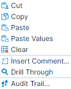 Right-Click Menu – Bizview v24