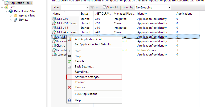 Editing Application Pool Identity to Enable PDF Viewer – Bizview v24