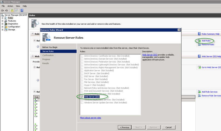 Installing IIS – Bizview v24
