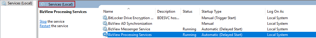 Processing Service – Bizview v24