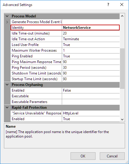 Setting Up Necessary Server Roles – Bizview v24