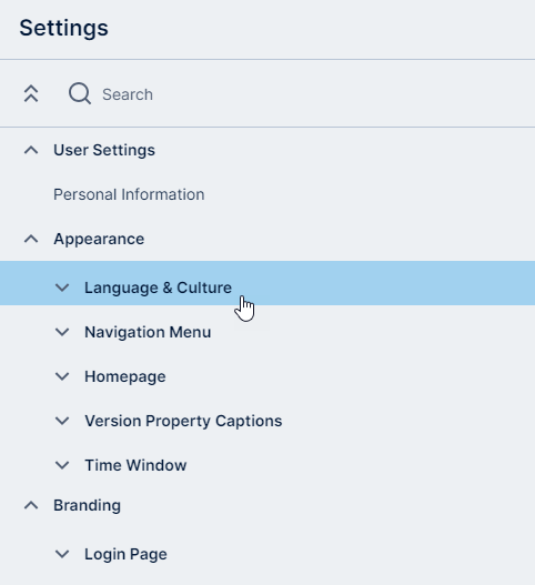 Application Appearance – Bizview v24