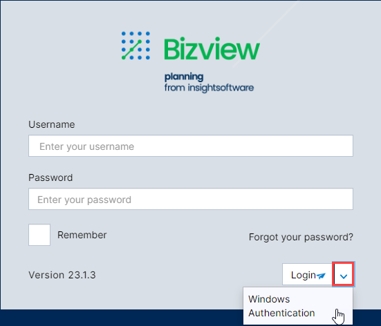 Windows Authentication – Bizview v24